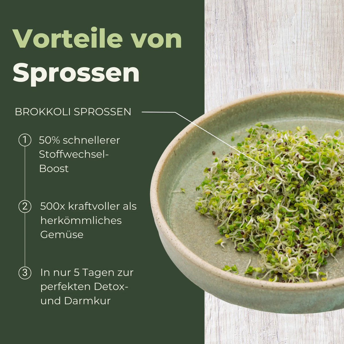 Brokkoli Sprossen Ziehen Ohne Keimglas